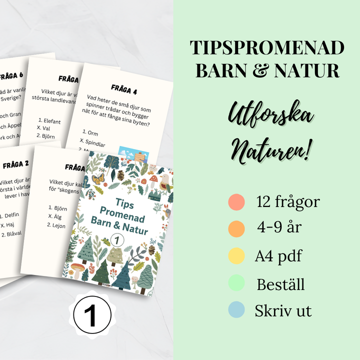 Valborg – Spelrutan