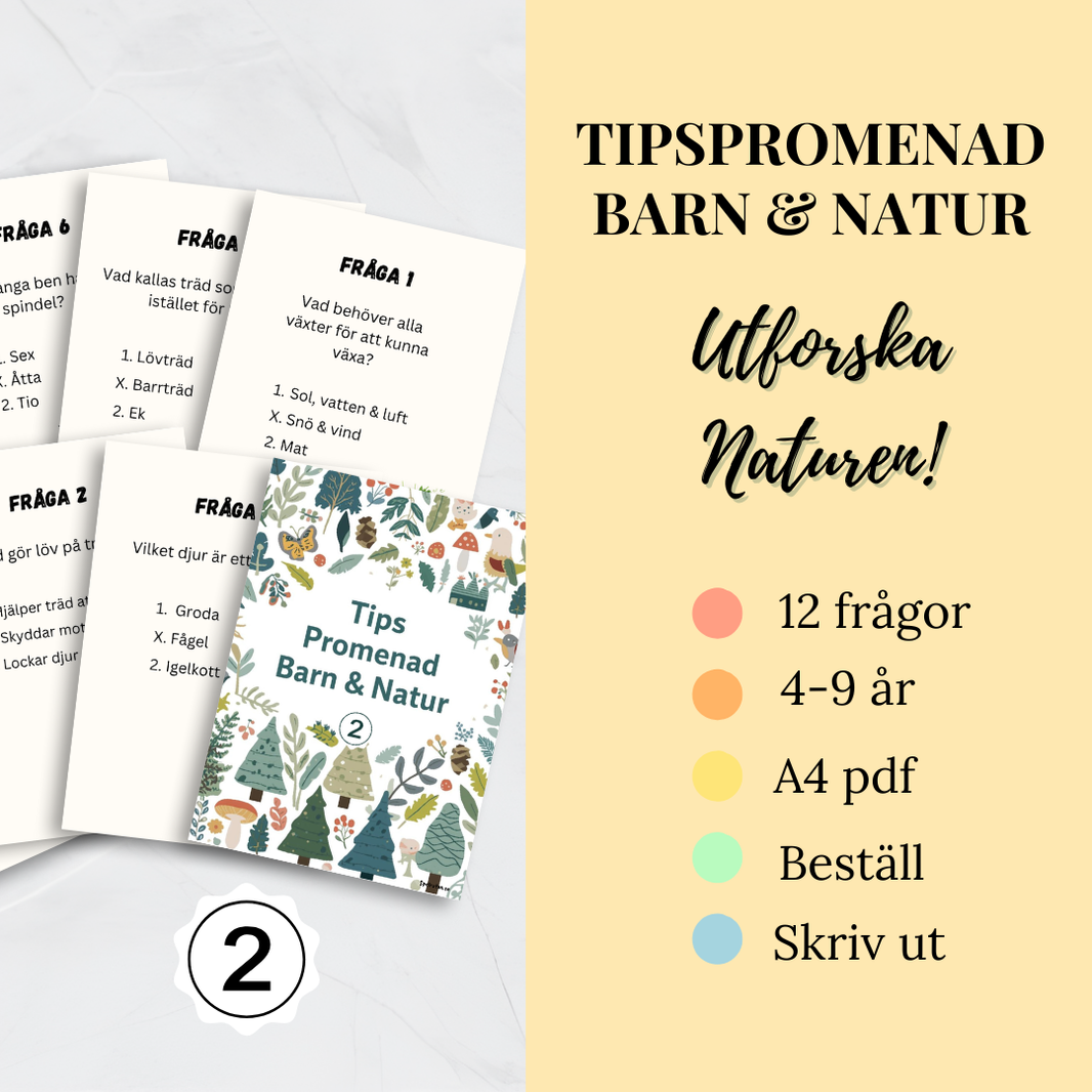 Valborg – Spelrutan